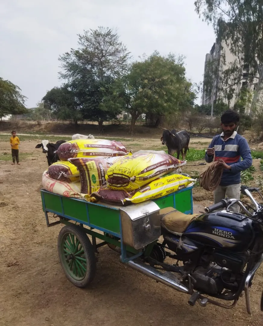 Regular Goseva in Sri Vrindavan dham